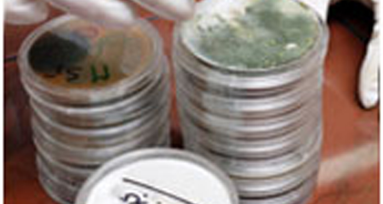 Everything You Need to Know About Health Risks of Asbestos